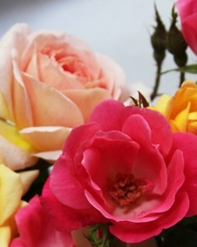 Remembering Nancy L Mathis | Obituaries – Central Florida Casket Store ...